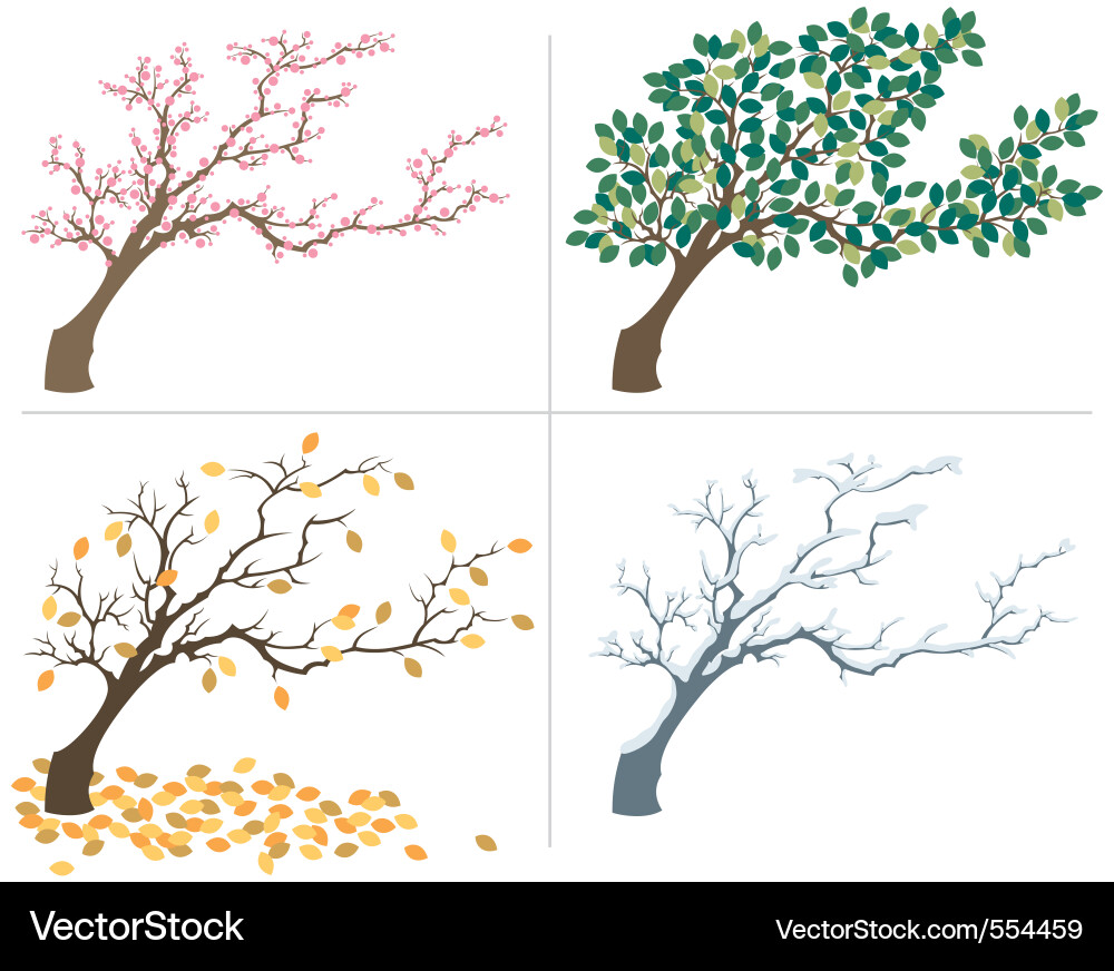Seasonal Tree Collection Royalty Free Vector Image