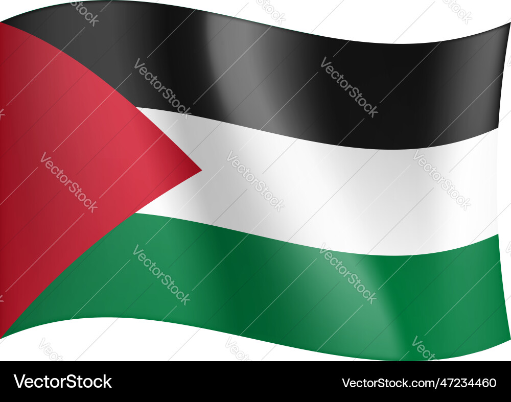 Immunization icon of palestine Royalty Free Vector Image