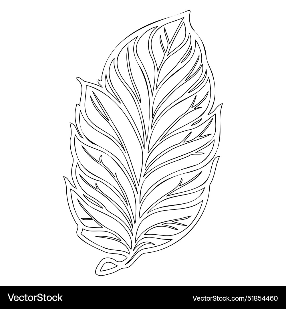 Lilac leaf floral outline sketch Royalty Free Vector Image