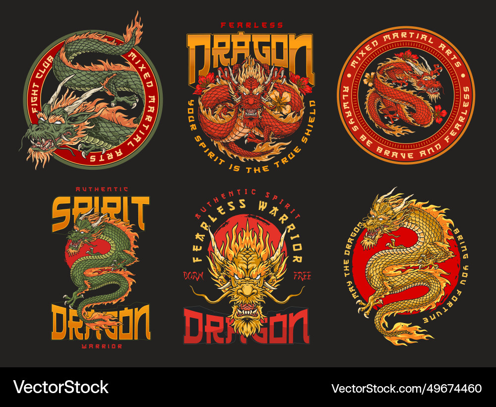 Mma dragon set poster colorful Royalty Free Vector Image