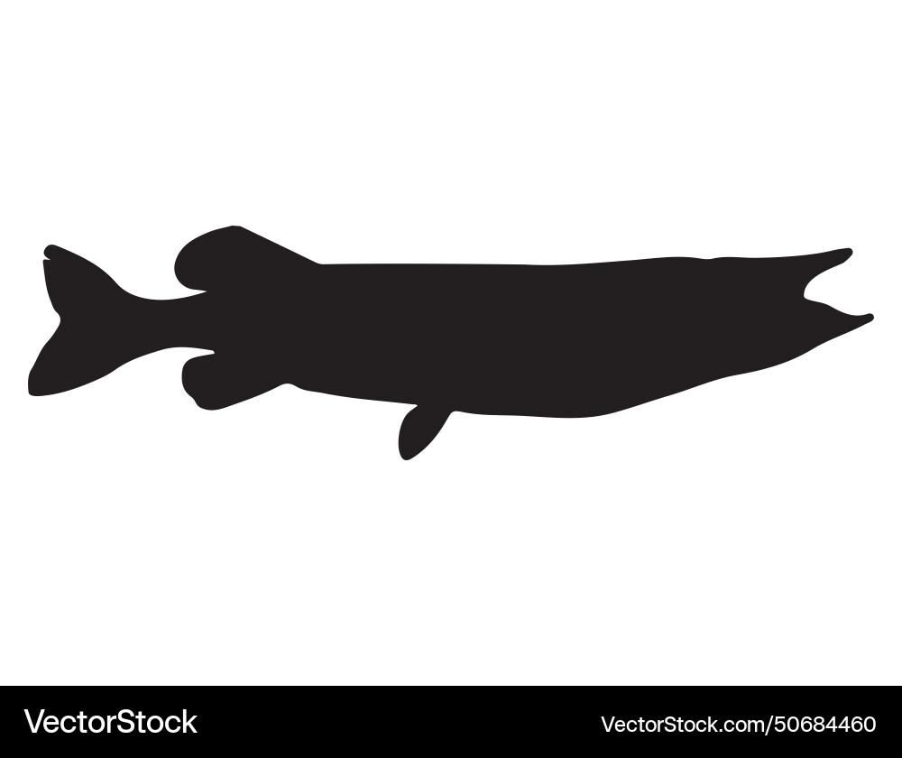 Northern pike fish silhouette art Royalty Free Vector Image
