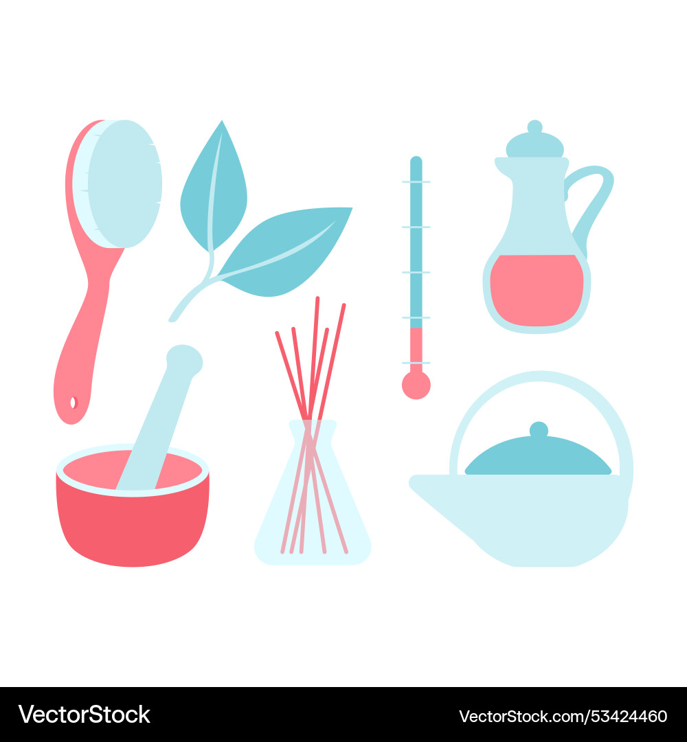 Spa items including brush leaves and oils Vector Image