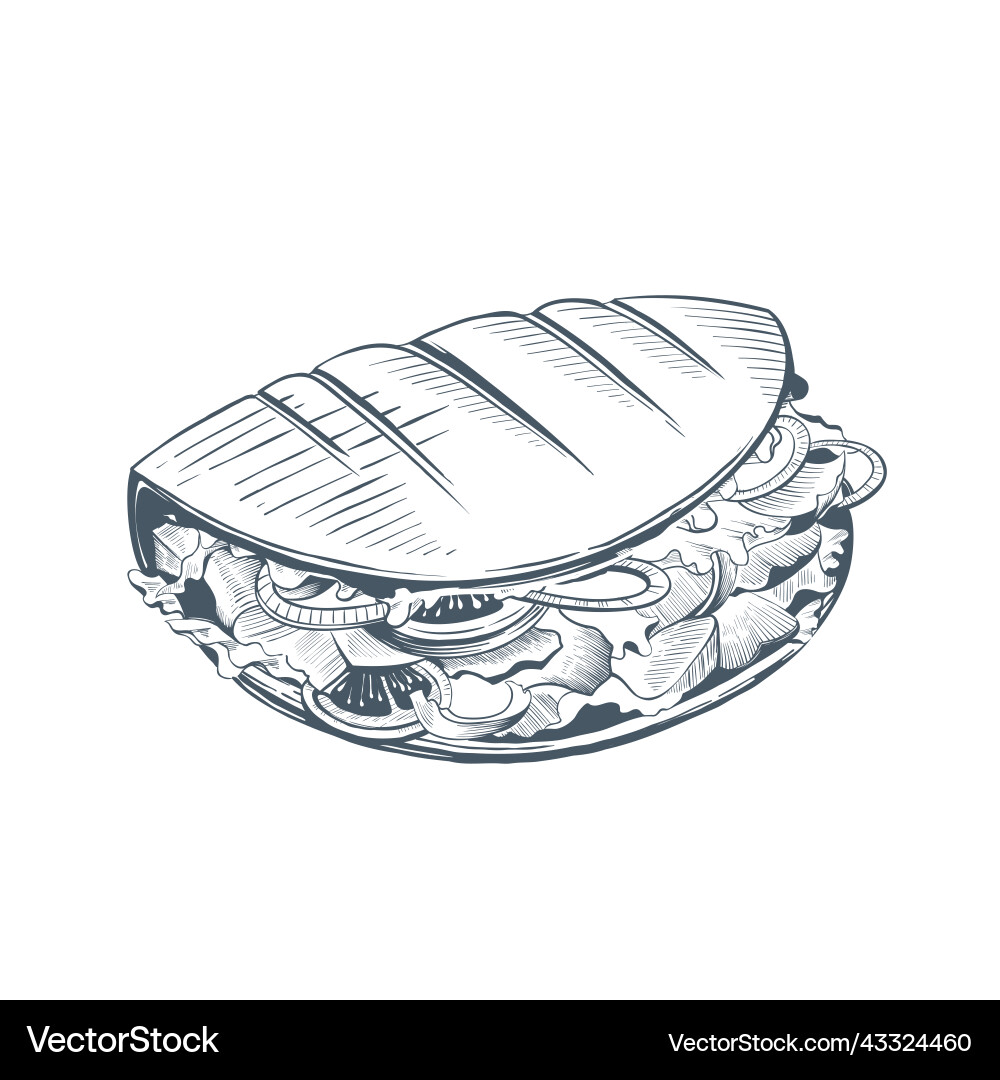 Taco with meat various fillings and sauce Vector Image