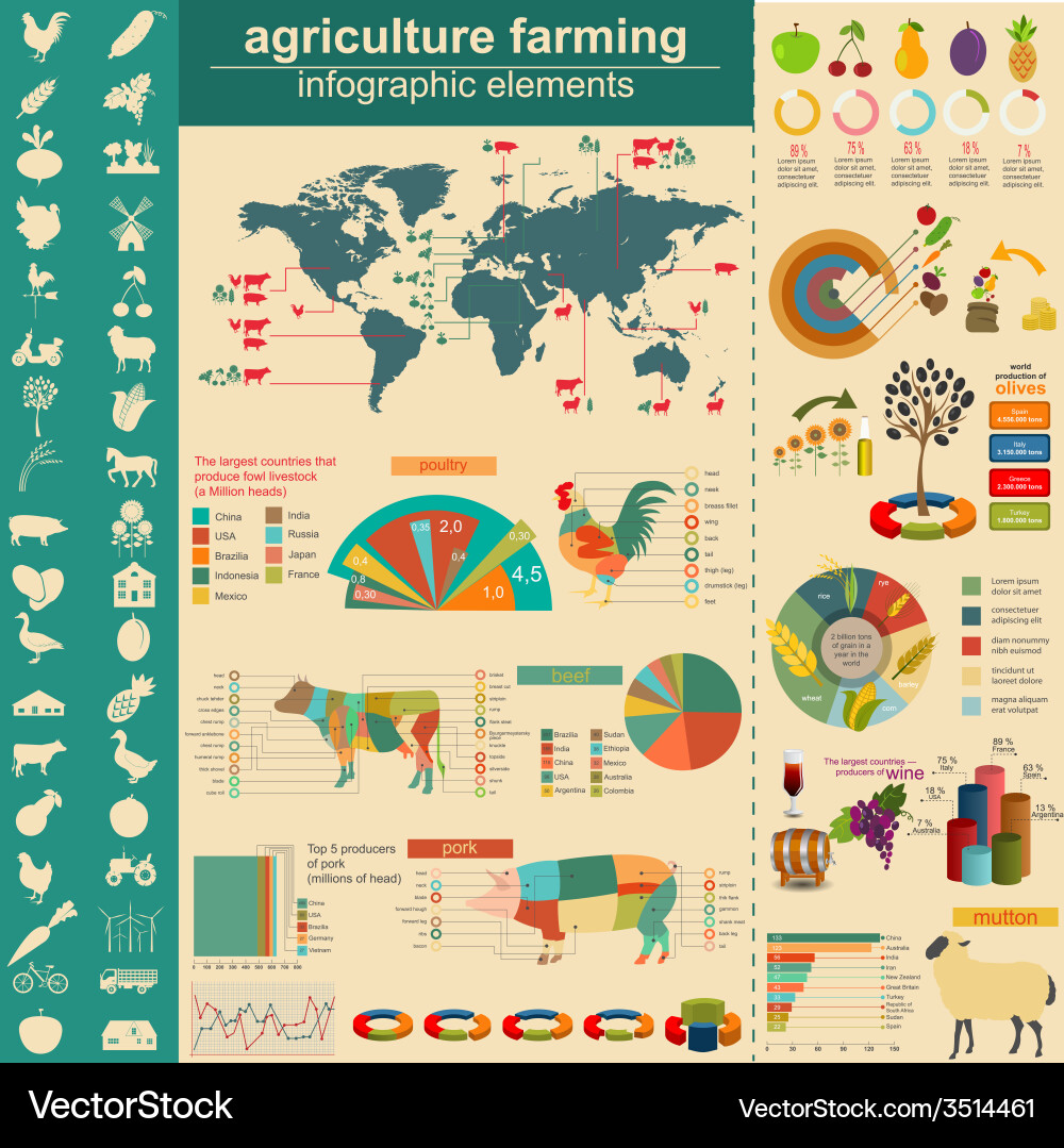Agriculture infographics Royalty Free Vector Image