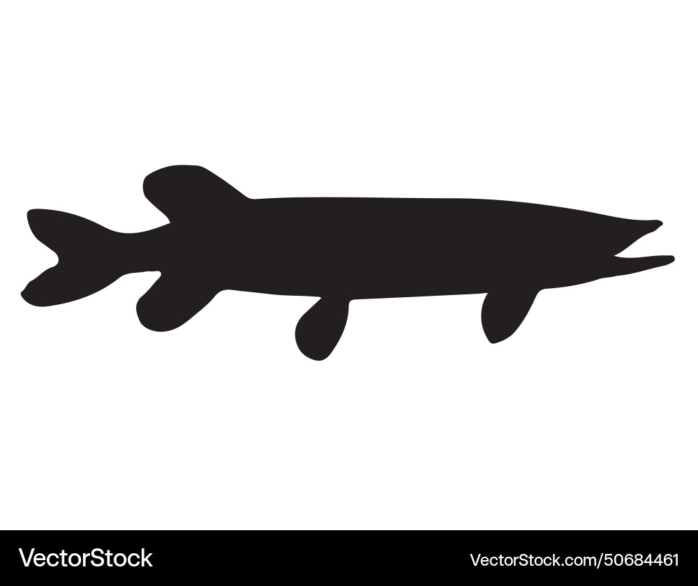 Northern pike fish silhouette art Royalty Free Vector Image