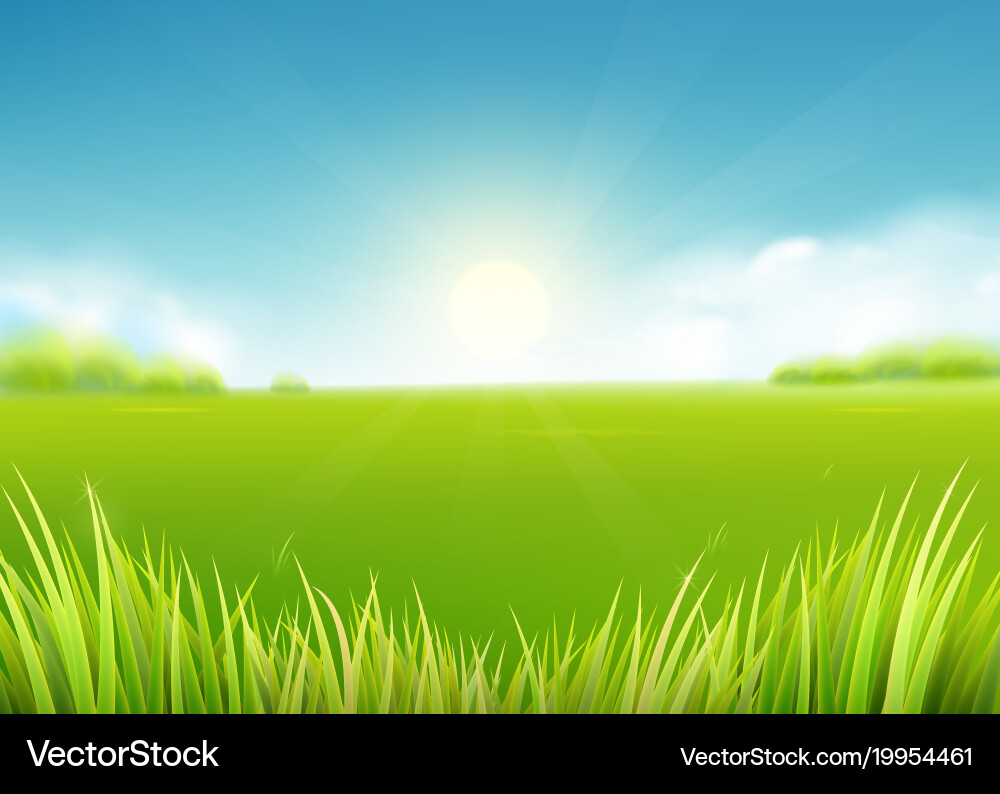 Serene Meadow Landscape Royalty Free Vector Image