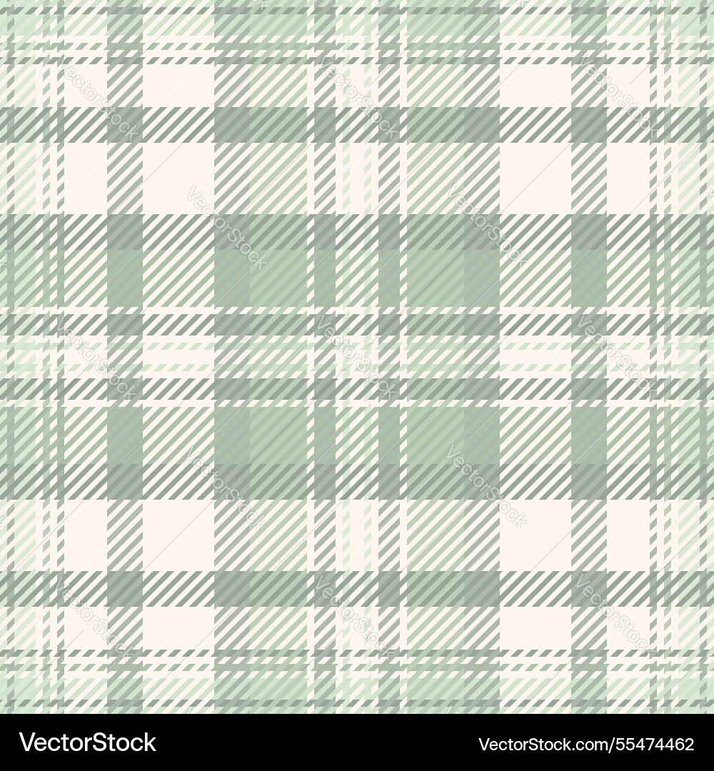 Elegant Sage Green Plaid Royalty Free Vector Image
