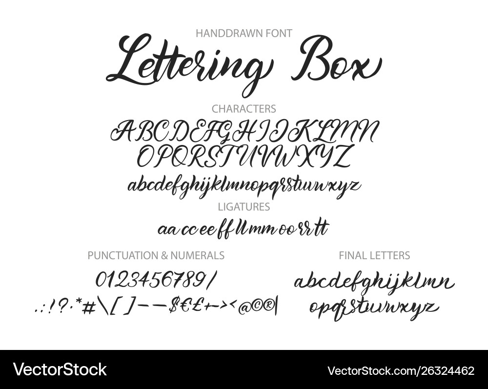 Hand drawn alphabet with letters Royalty Free Vector Image