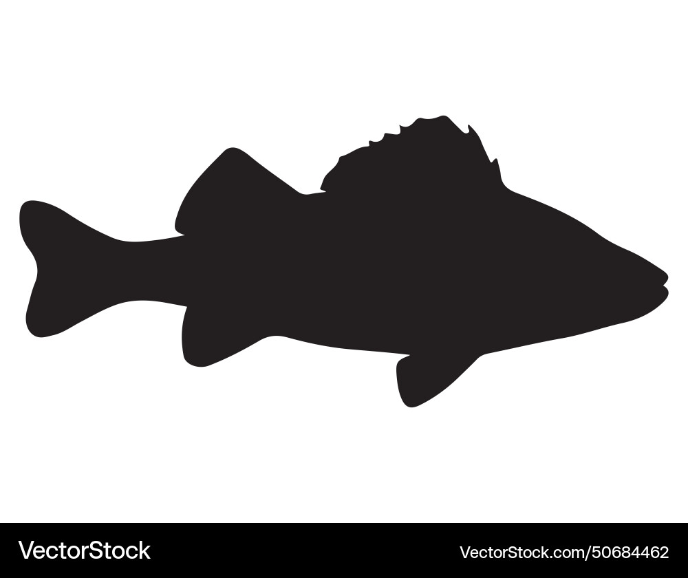 Perch fish silhouette art Royalty Free Vector Image