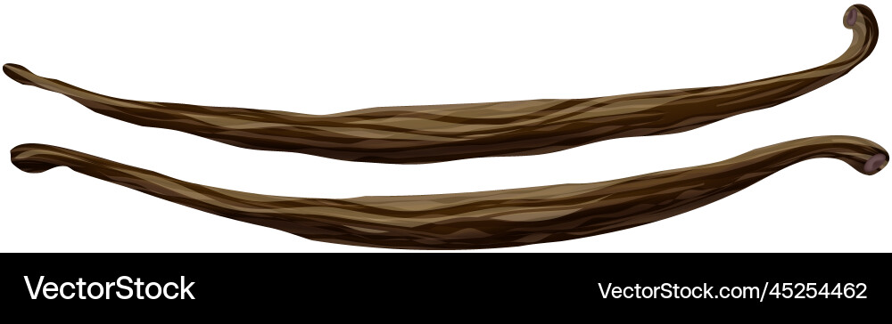 Realistic vanilla beans Royalty Free Vector Image