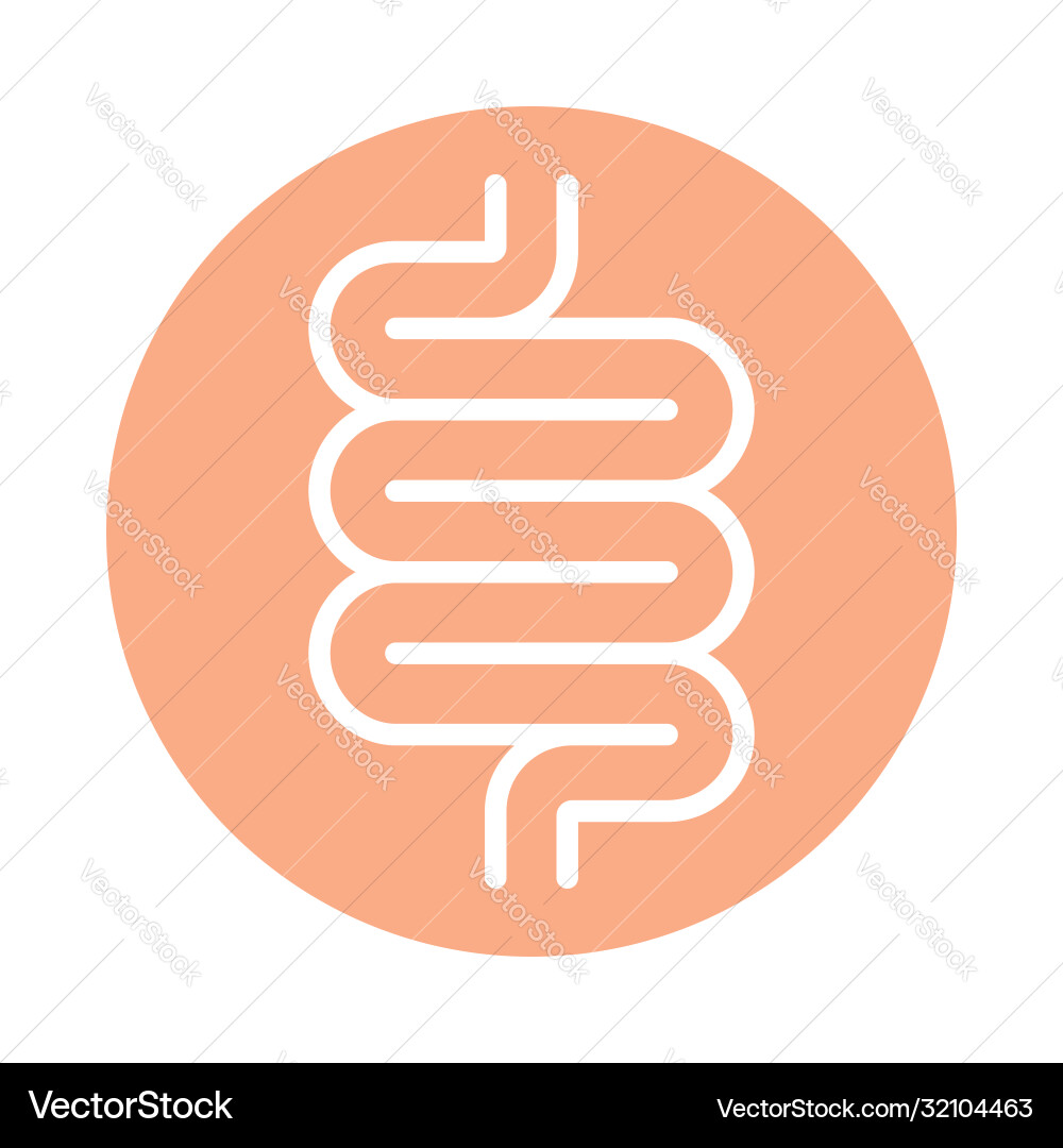 Bowel symbol Royalty Free Vector Image - VectorStock