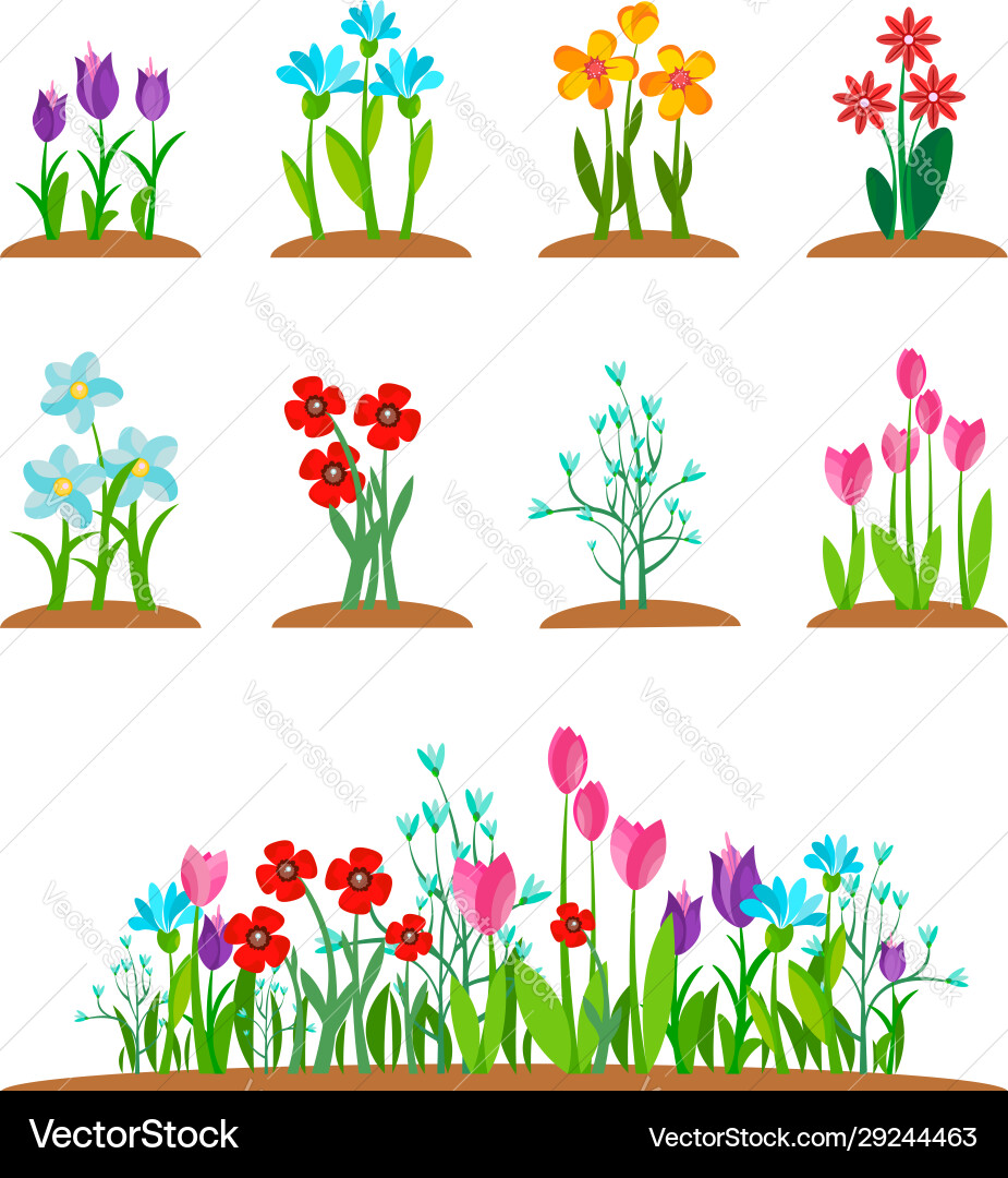 Early spring garden blossom flowers grass Vector Image