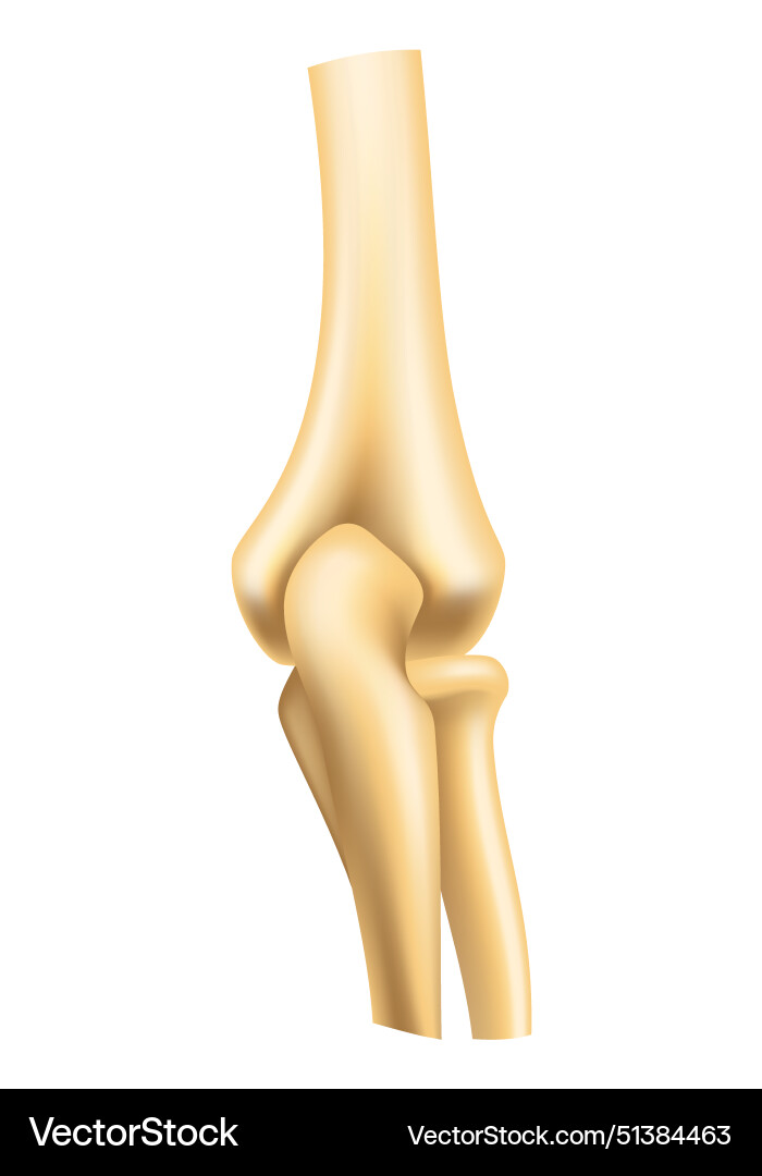 Human joints icons for orthopedics Royalty Free Vector Image