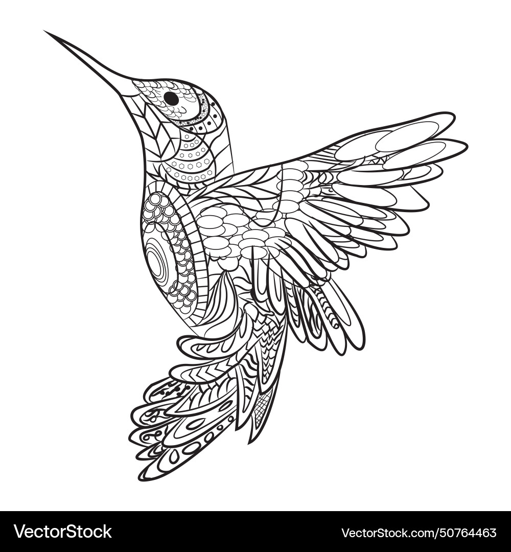 Hummingbird mandala colouring book Royalty Free Vector Image