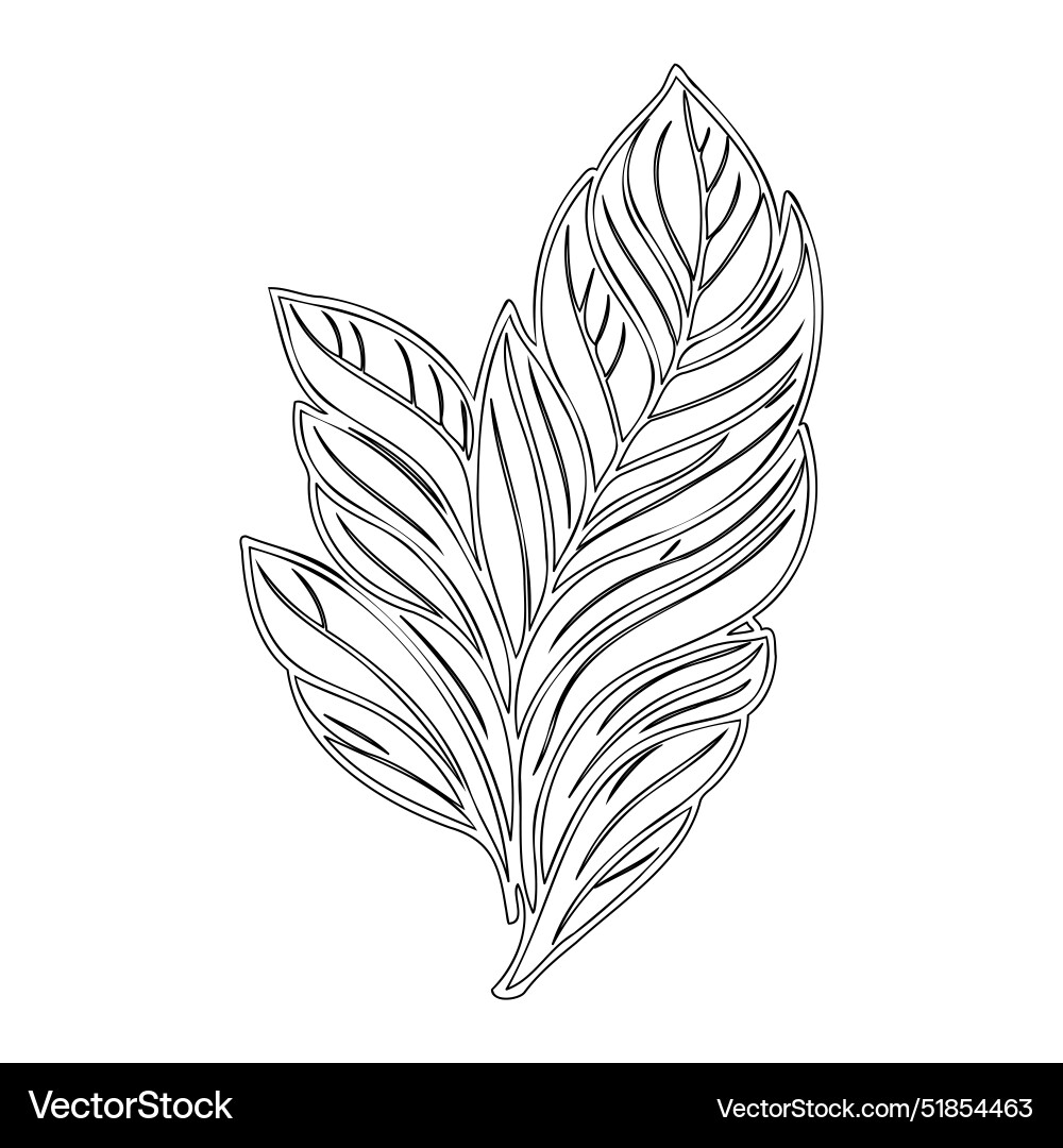 Lilac leaf floral outline sketch Royalty Free Vector Image