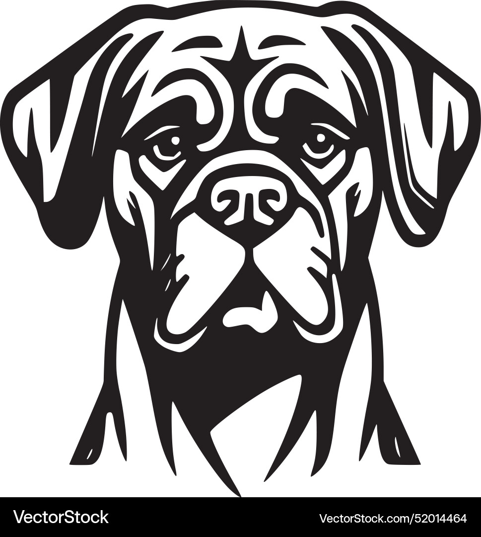 Boxer - black and white Royalty Free Vector Image