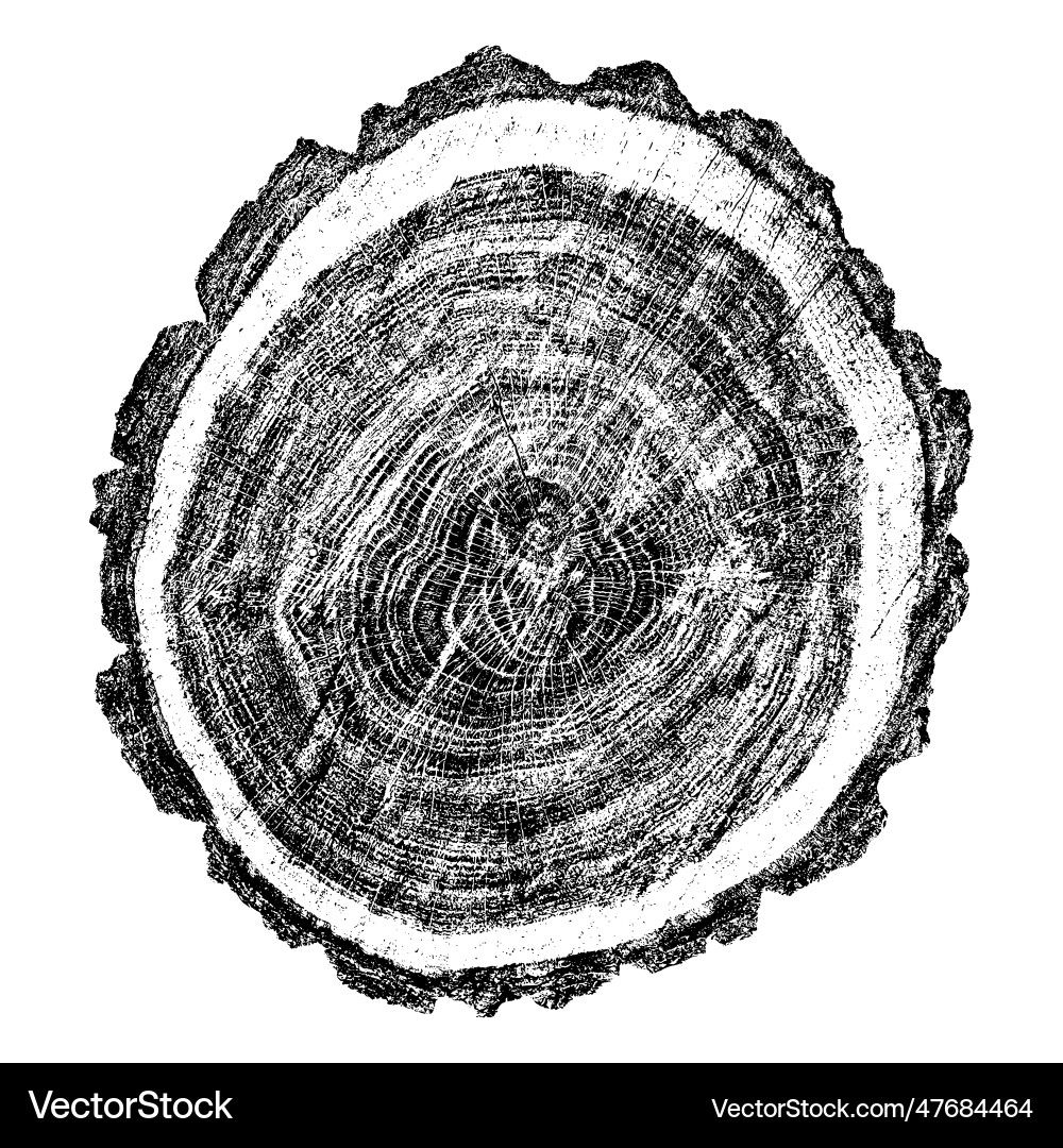 Distressed wood texture Royalty Free Vector Image