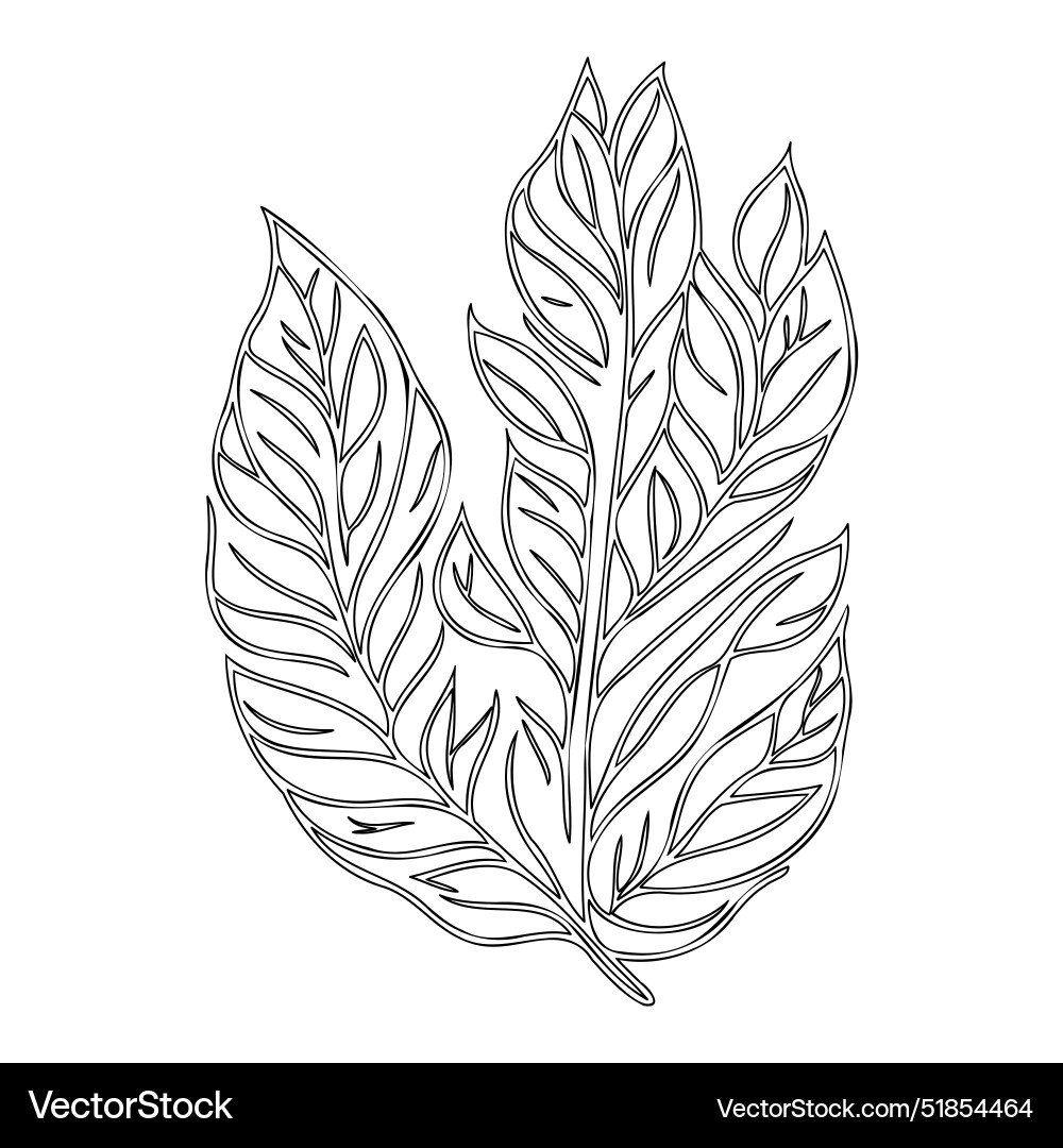 Lilac leaf floral outline sketch Royalty Free Vector Image