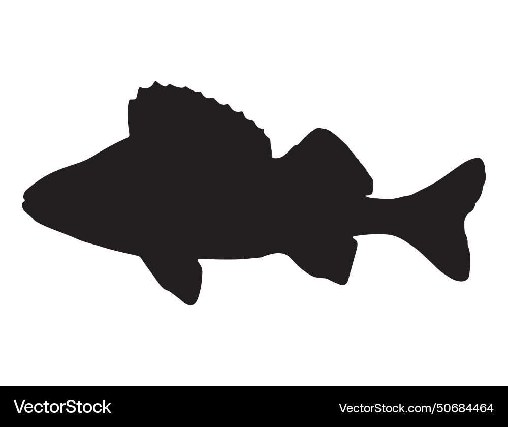 Perch fish silhouette art Royalty Free Vector Image
