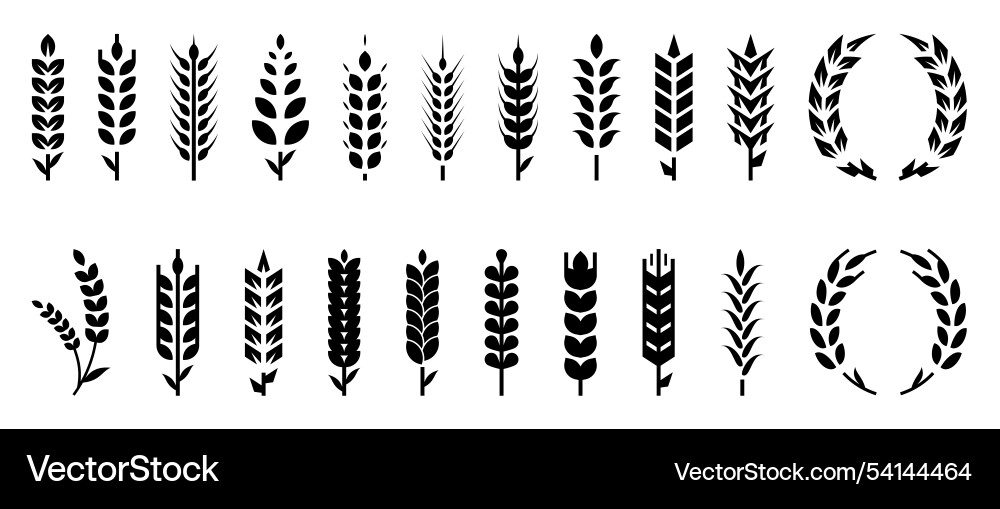 Weizen-Logo Gerste Spikes Mais-Symbol Korn Vektorbild