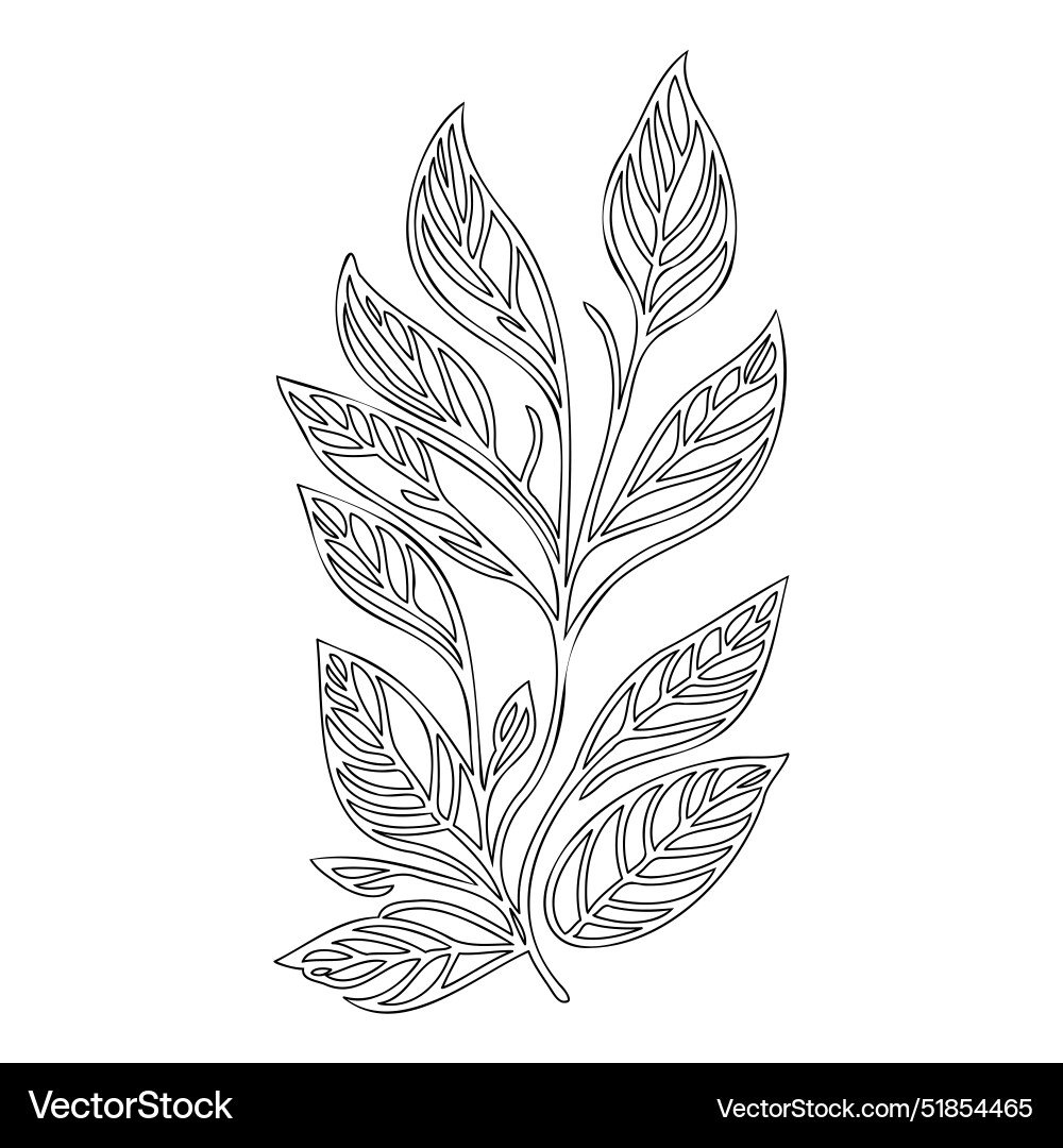 Lilac leaf floral outline sketch Royalty Free Vector Image