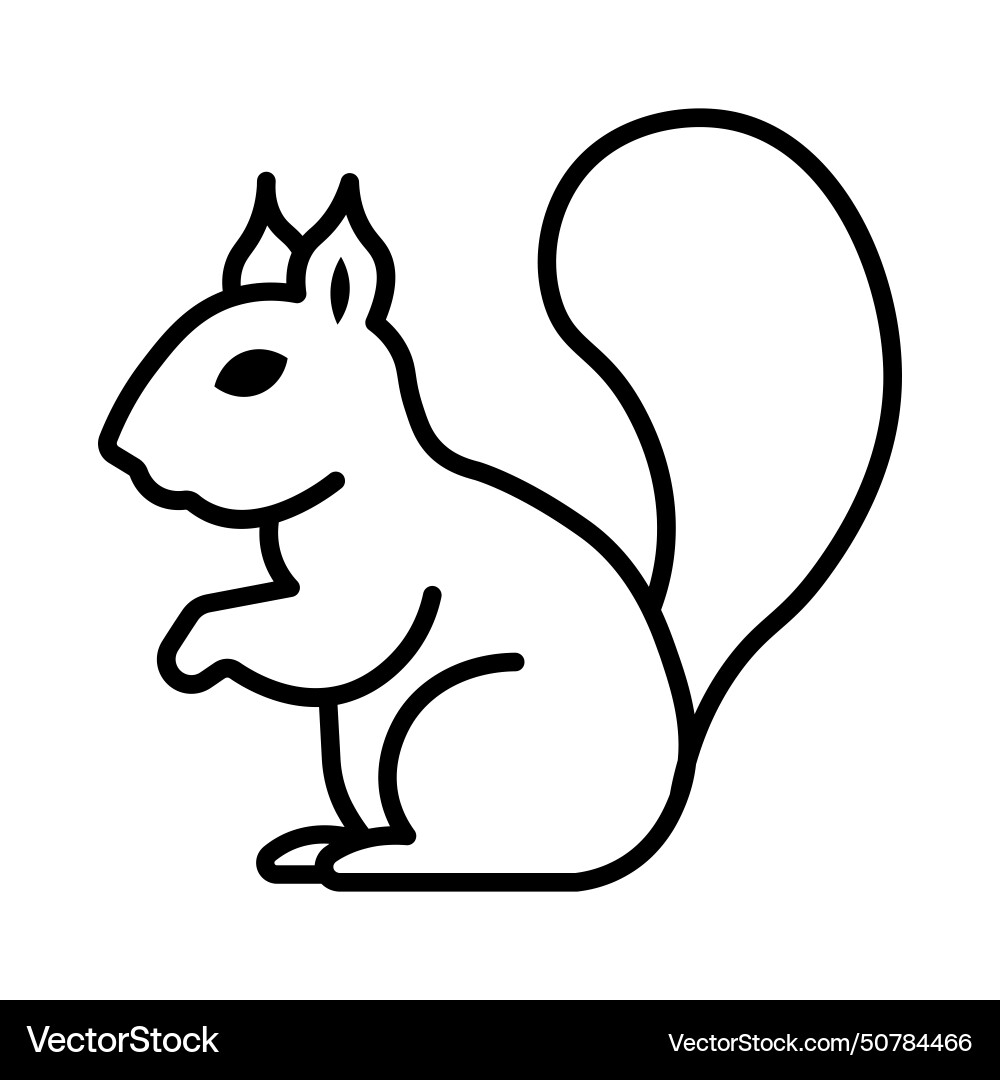 Black squirrel icon on white background Royalty Free Vector