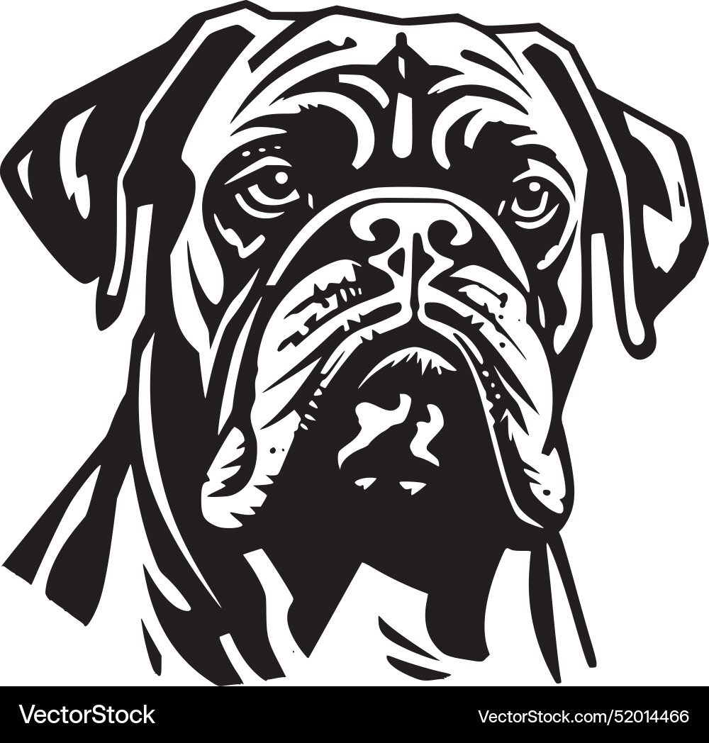 Boxer - high quality logo ideal for t-shirt Vector Image