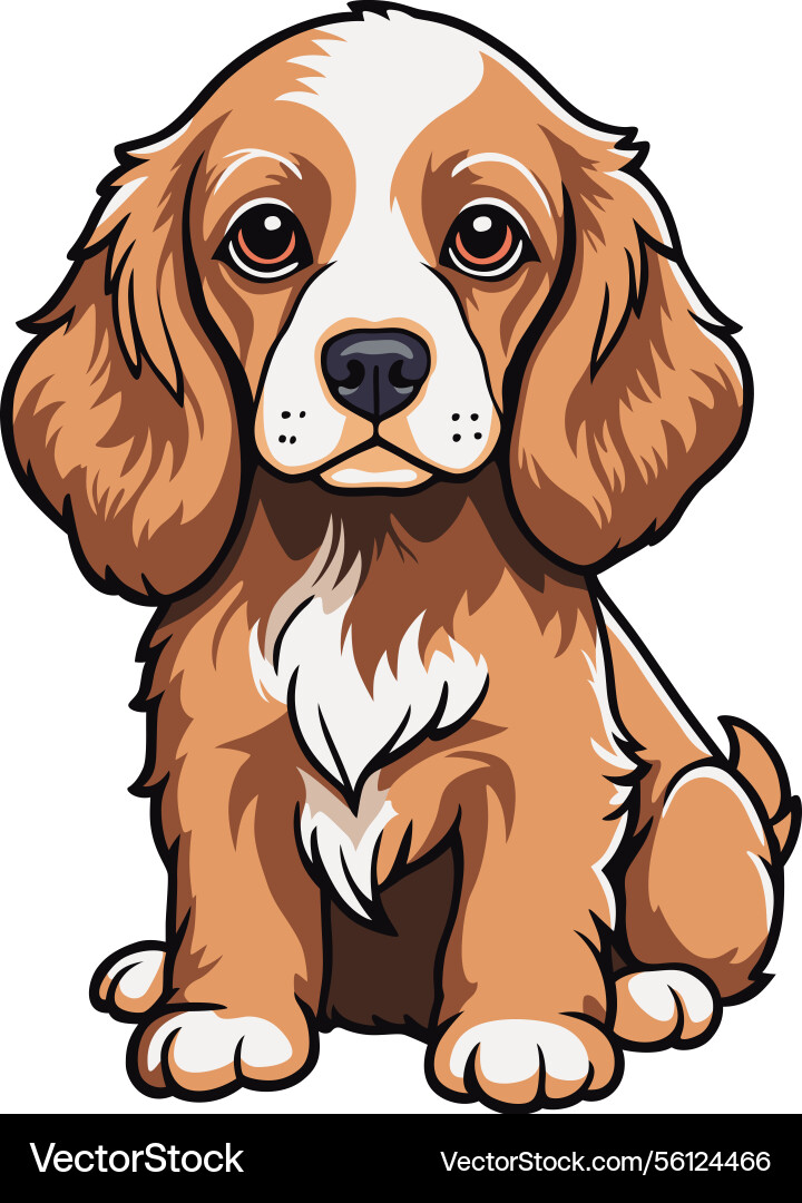 Cocker spaniel Royalty Free Vector Image - VectorStock