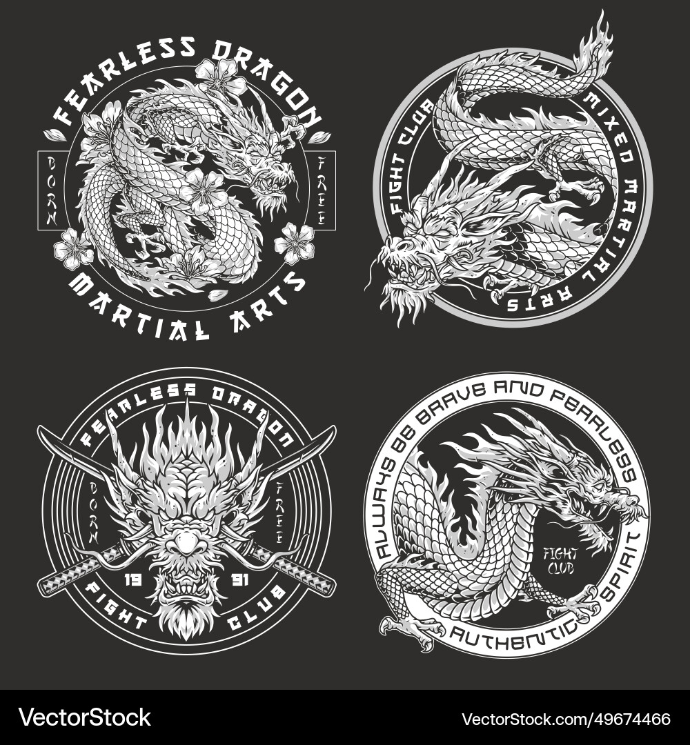 Dragon fight club set flyer Royalty Free Vector Image