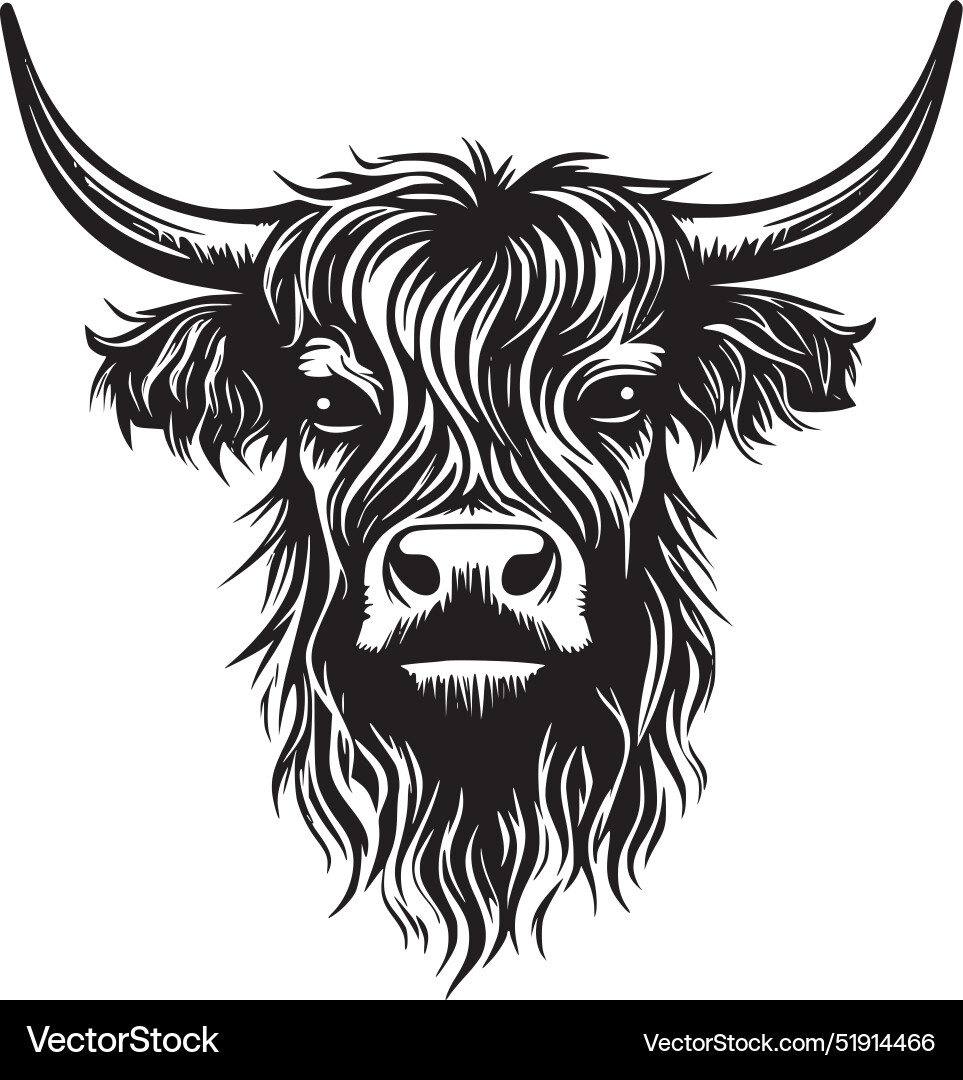 Highland cow - black and white Royalty Free Vector Image