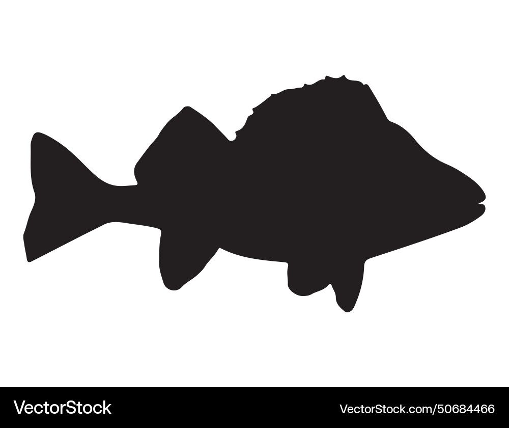 Perch fish silhouette art Royalty Free Vector Image