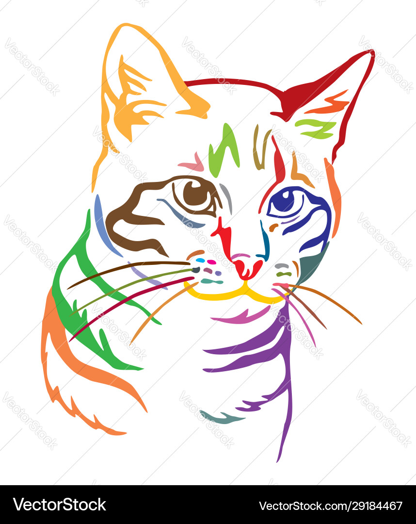 Colorful Cat Portrait Royalty Free Vector Image