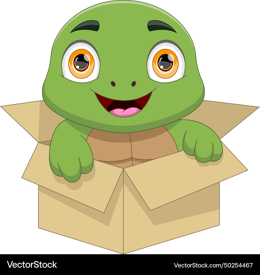 Cute turtle in the box cartoon Royalty Free Vector Image