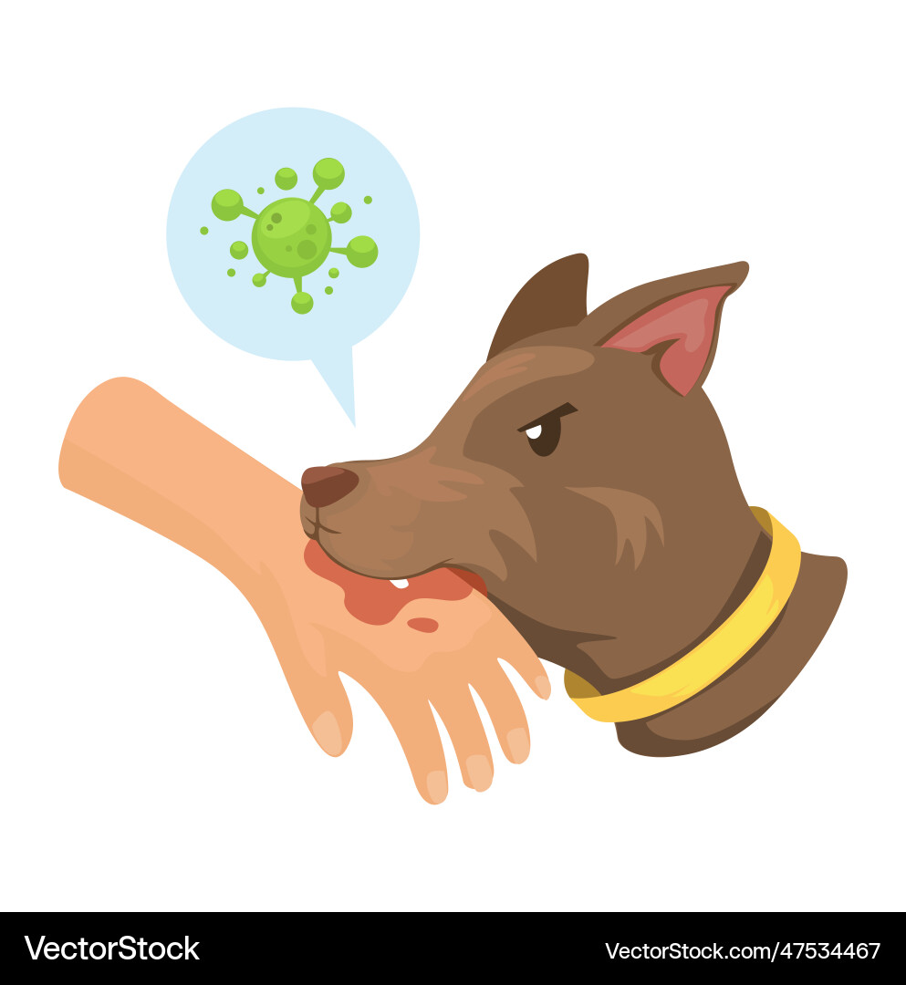 Dog bites hand transmits rabies bacteria virus Vector Image