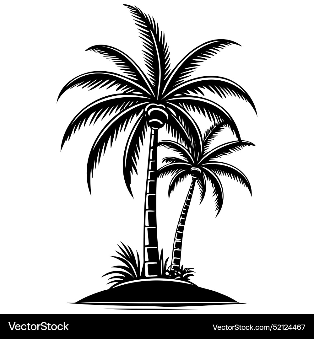 Engrave cartoon palm tree sketch realistic line Vector Image