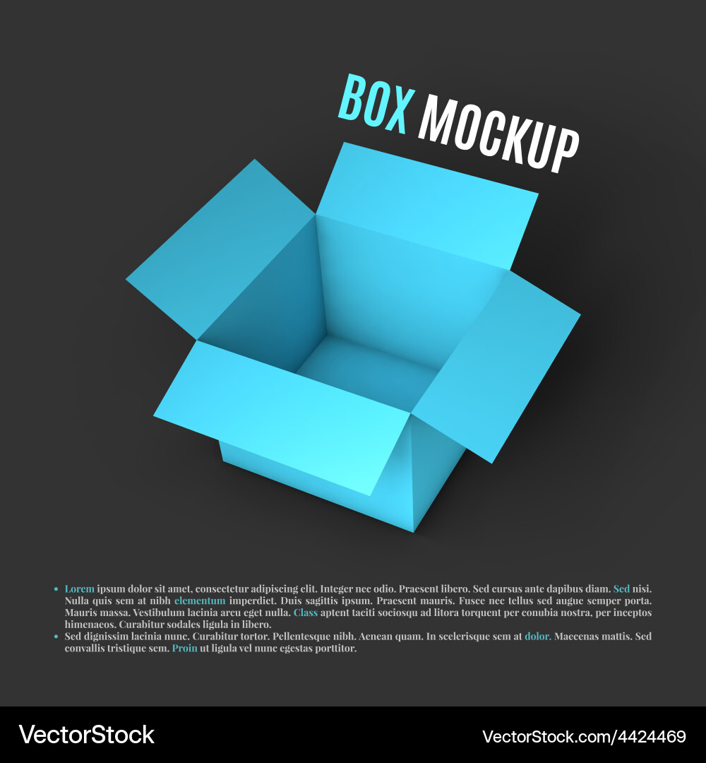 Open box mockup template Royalty Free Vector Image