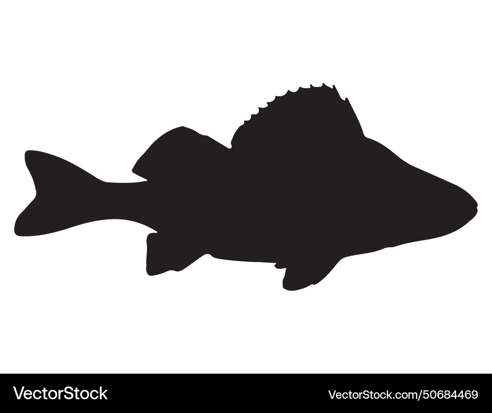 Perch fish silhouette art Royalty Free Vector Image