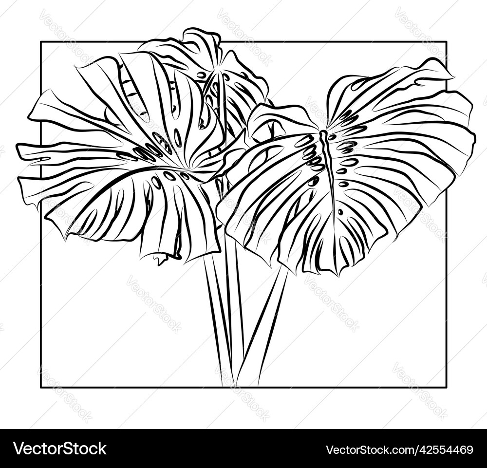 Philodendron Pflanze 01 Linie Kunst Lizenzfreier Vektor