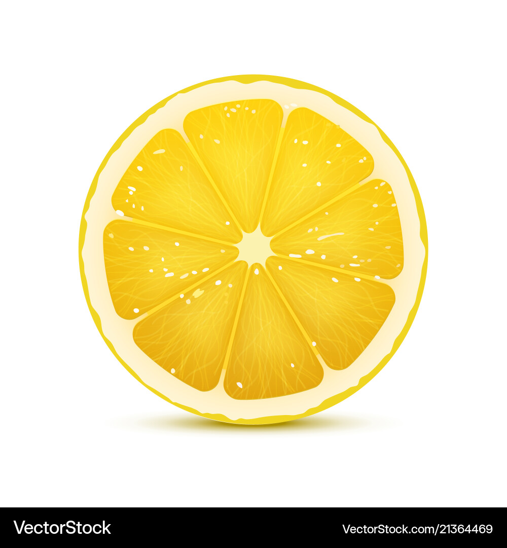 Realistic of lemon slice Royalty Free Vector Image