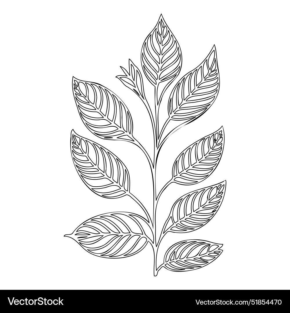 Lilac leaf floral outline sketch Royalty Free Vector Image
