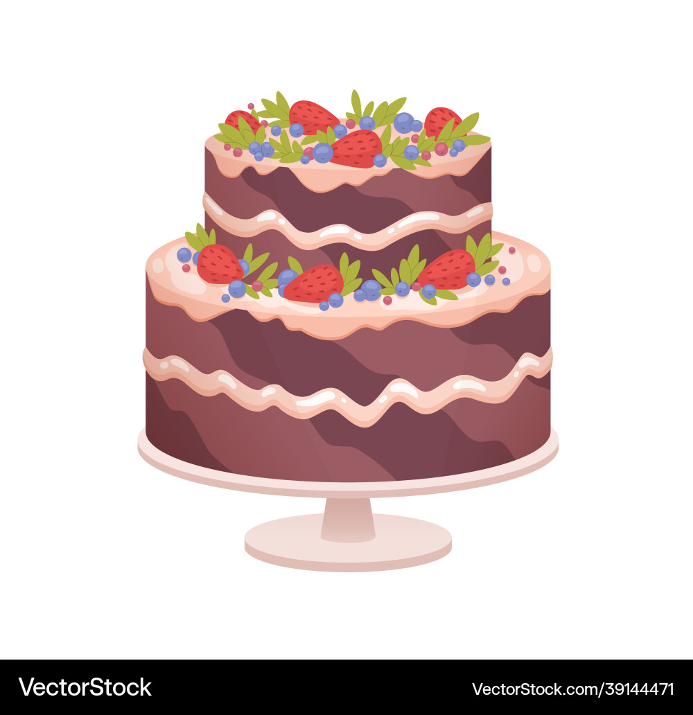 Chocolate sponge cake on plate for birthday Vector Image