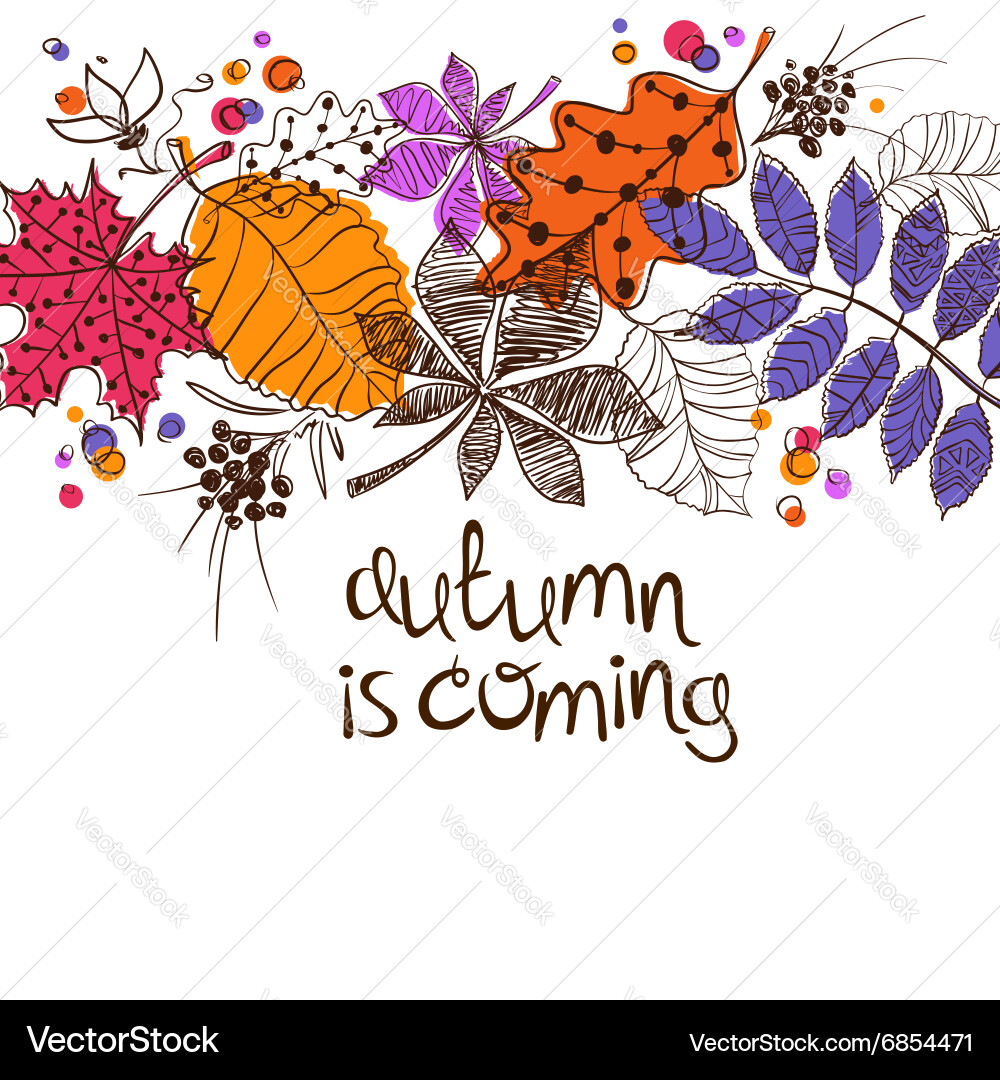 Colorful autumn leaves concept Royalty Free Vector Image