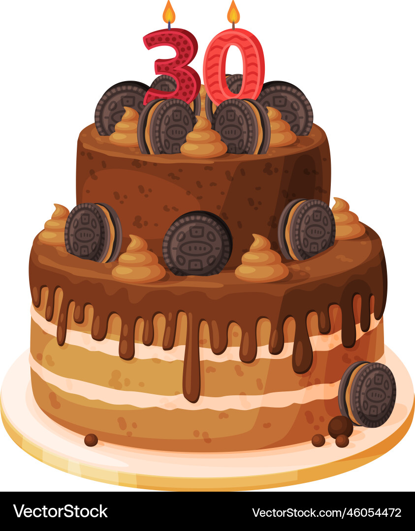Candle on birthday cake with 30 number age Vector Image