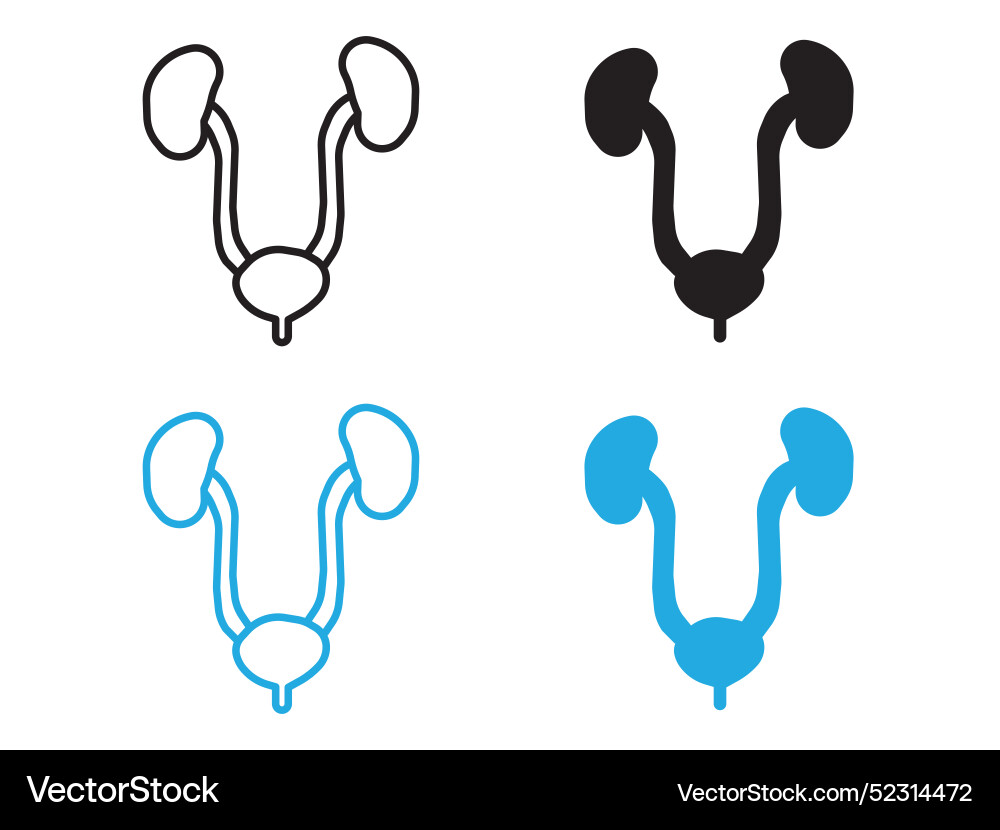 Urinary system icon black and white outline sign Vector Image
