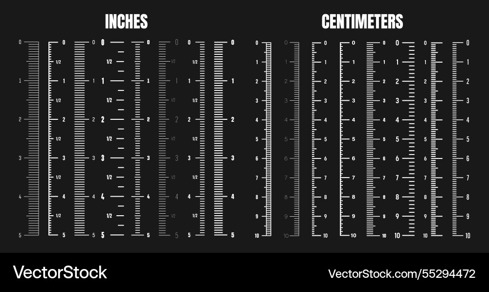 Vertical centimeter and inch scale for measuring Vector Image