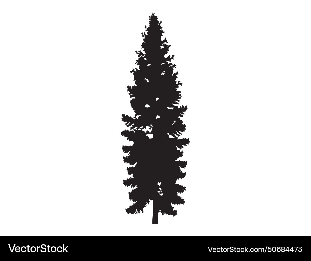 Pine tree silhouette art Royalty Free Vector Image