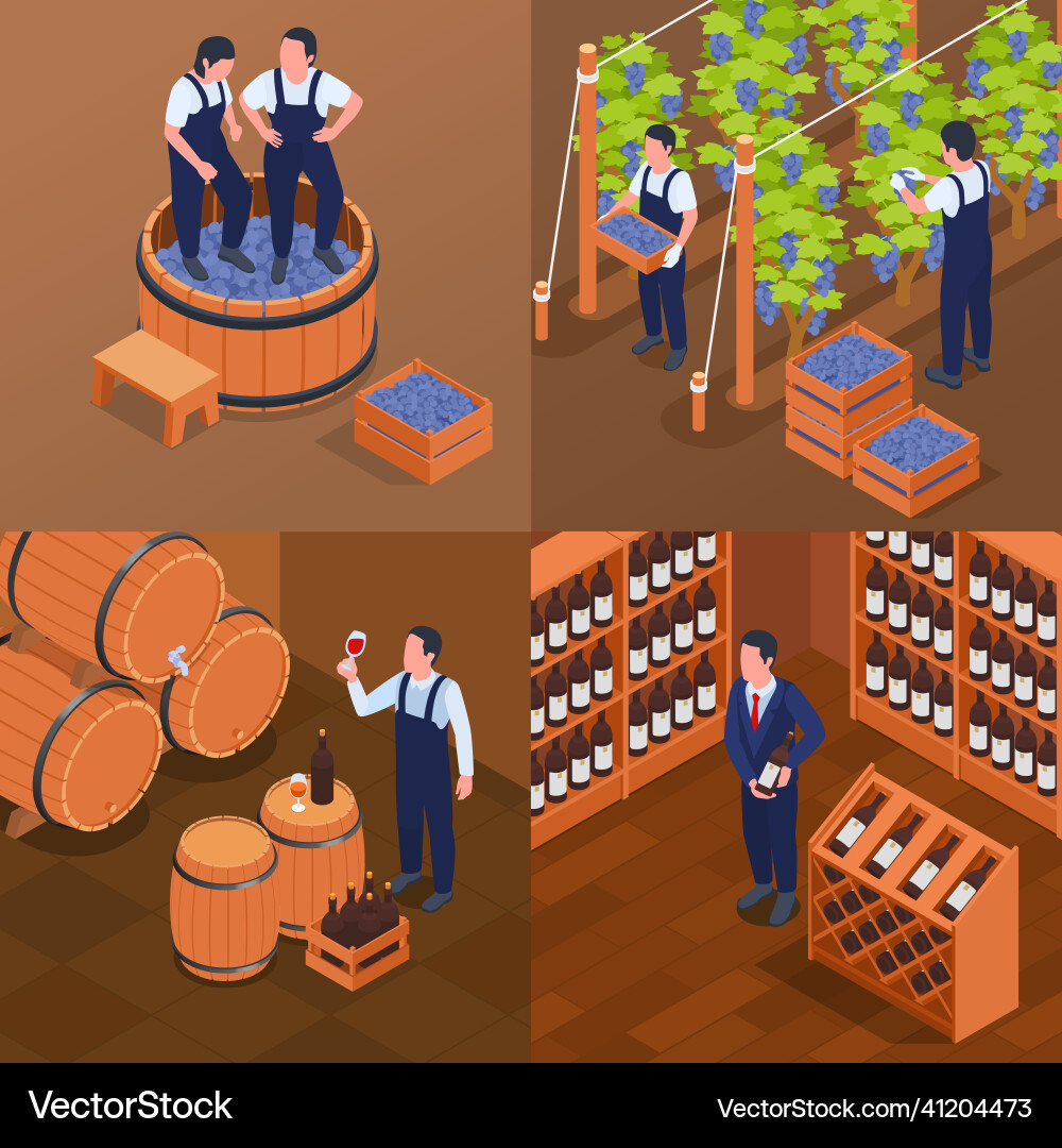 Wine production 2x2 set Royalty Free Vector Image