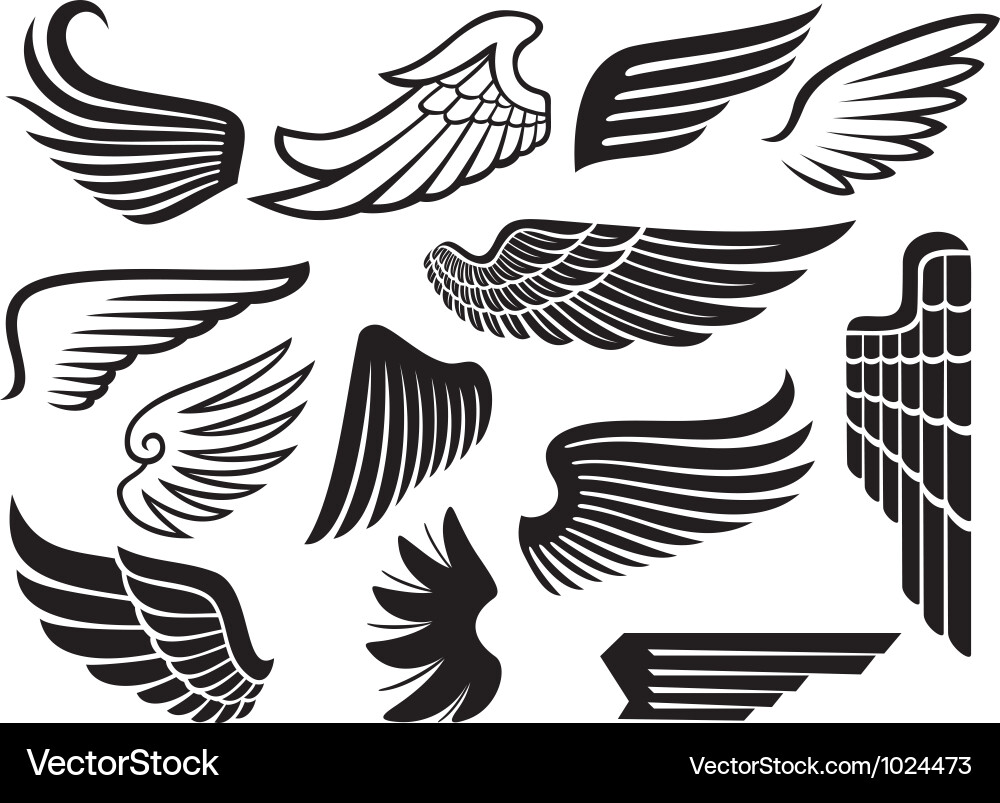 Celtic Angel Wings Vector Images (over 680)