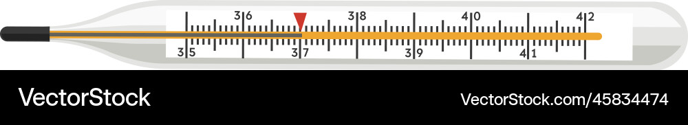 Body temperature measuring device thermometer Vector Image