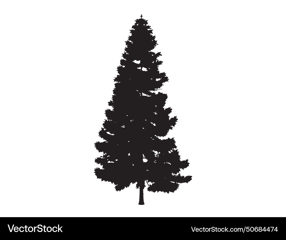 Pine tree silhouette art Royalty Free Vector Image
